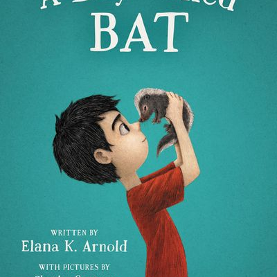 Book Study: A Boy Called Bat