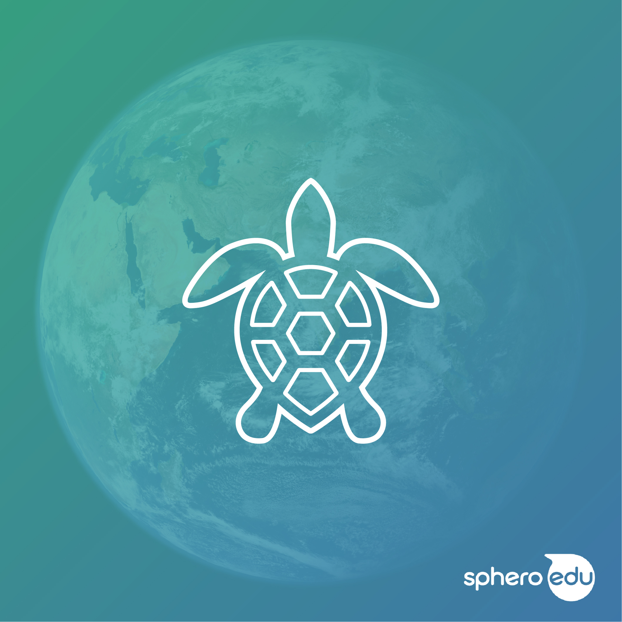 WORLD - Costa Rican Turtles (6 of 8)