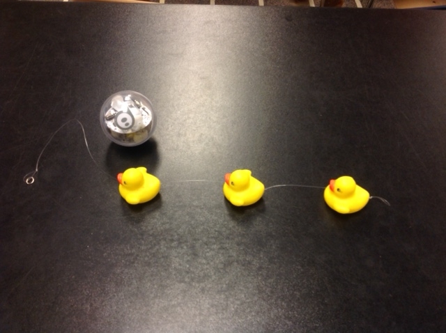 Make Way For Ducklings!