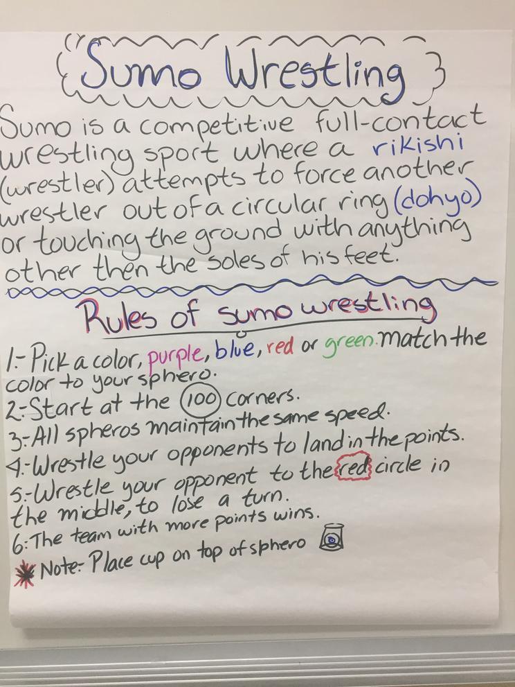 Sumo Sphero wrestling.