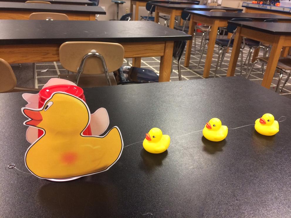 Make Way For Ducklings!